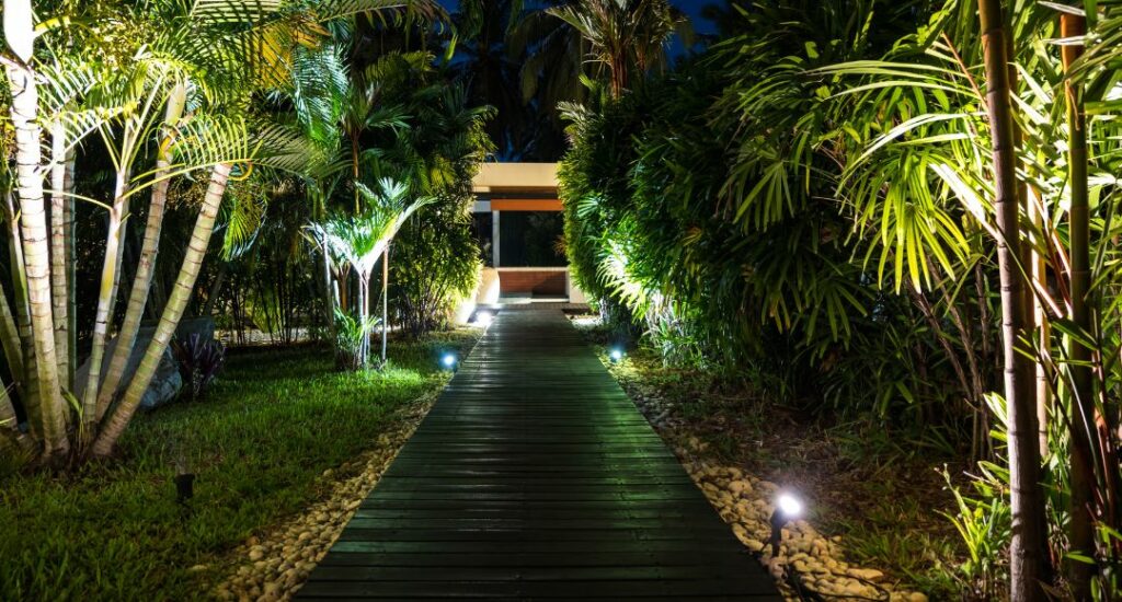 LED Spotlights for Landscaping: Highlighting Your Outdoor Features with ...