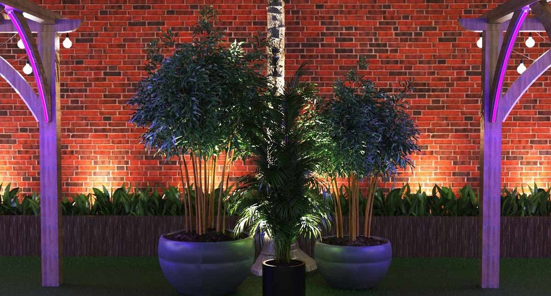 Garden Lighting Guide | Ideas, Tips & Energy-Efficient Solutions