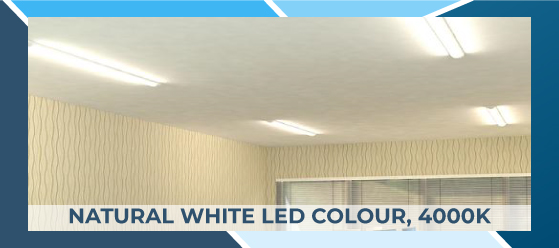 5 Foot LED Batten Fitting|1500mm, 50w | Simple Lighting