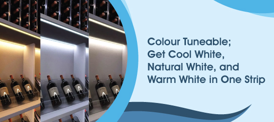Colour Temperature Adjustable LED Tape - Warm to Cool White