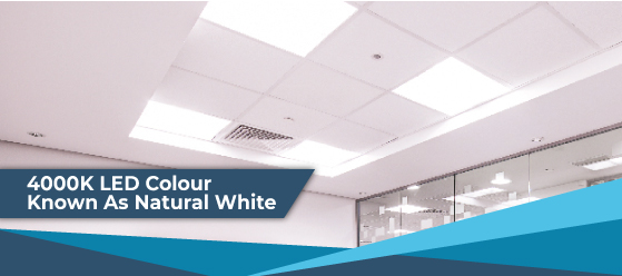 LED Panel Light, 600mm x 600mm, 4000K Natural White